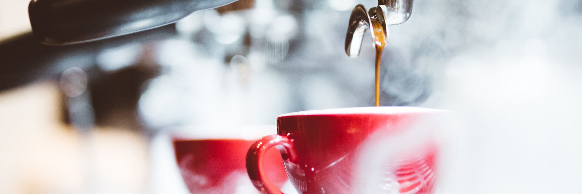 ファイル・ディレクトリの操作と管理 – ntorelabo